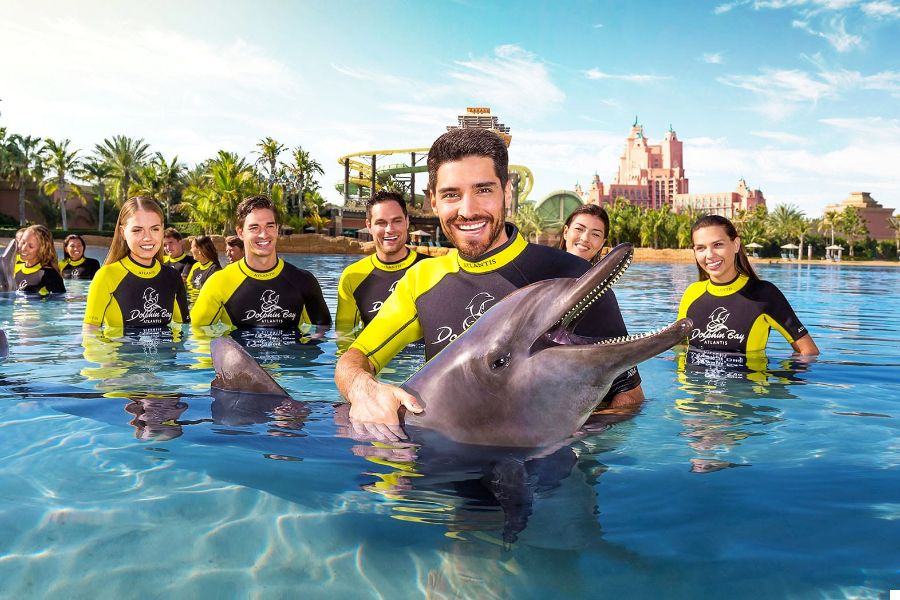 Dolphin Bay Atlantis in Dubai Tickets - Akira Tourism